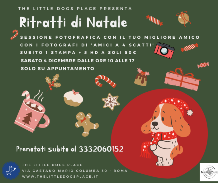 EVENTI :: Thelittledogsplace